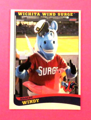 2022 Choice, Wichita Wind Surge, Mascot - WINDY | eBay