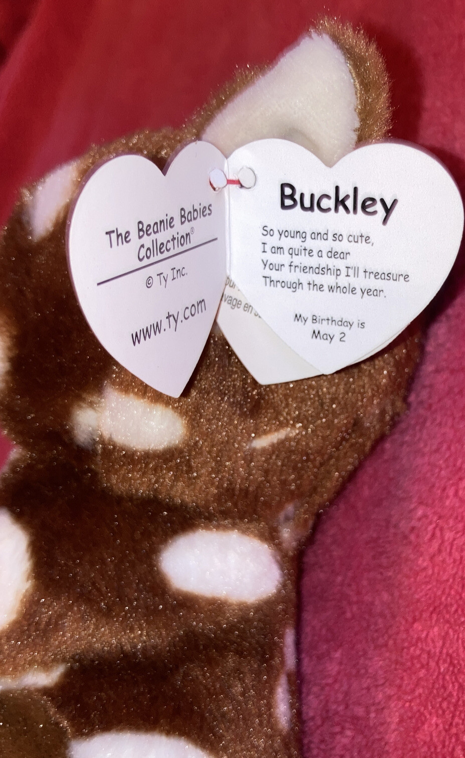 2020 TY Beanie Baby 6" BUCKLEY the Deer Stuffed Animal Toy Plush MWMTs ...
