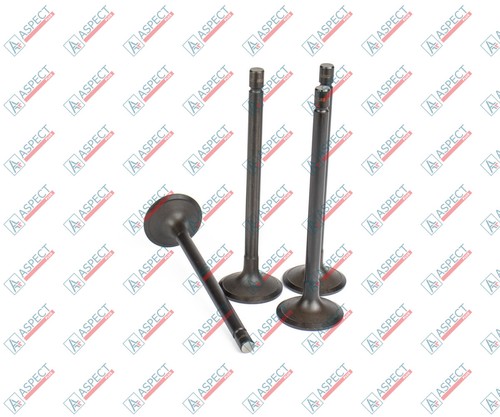 Isuzu SP 4HK1 6HK1 Valve inlet 8943958822 8943958820 02/801228 Set of ...