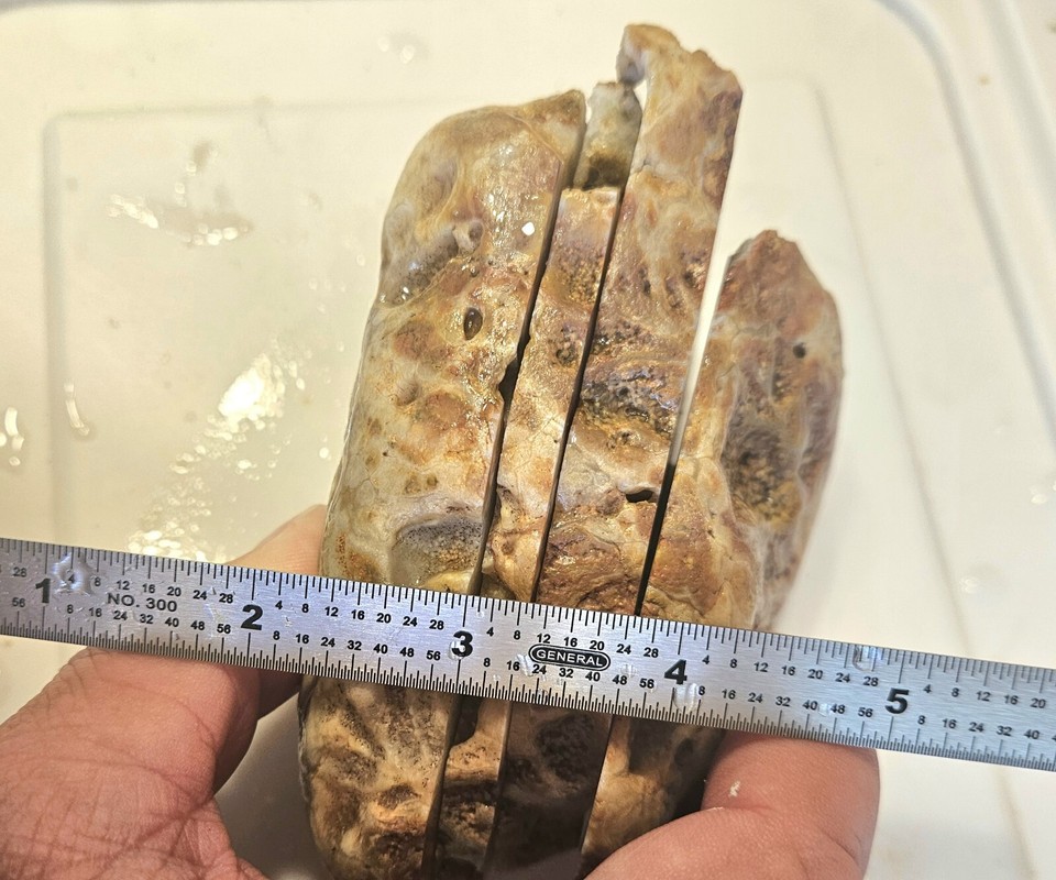 Prairie Agate - Entire stone Sliced/ Slabbed - Rare. Lapidary Rough ...