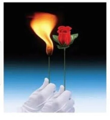 Torch to Flower - Torch to Rose - Fire Magic Trick - Flower Magic ...
