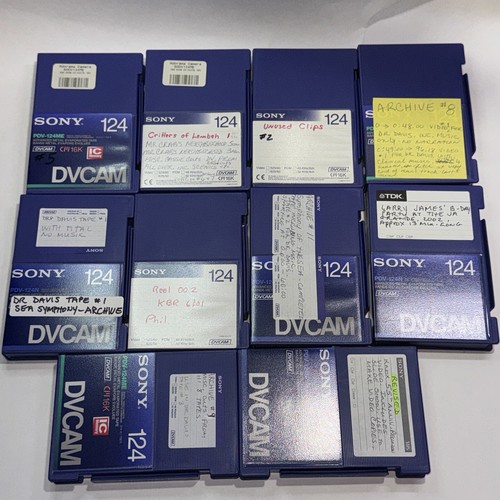 Lot Of 10 Sony DVCAM PDV-124N Pre Owned Cassette Tapes With Cases | eBay