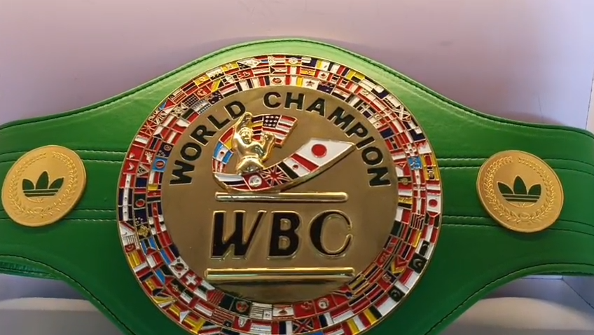WBC World BOXING Championship Belt Replica High Quality New Edition 3D ...