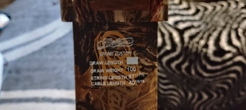 Mathew Solocam Bowl, 3 Arrows With Case | eBay