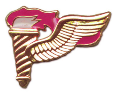 Army Air Assault Pathfinder Paratrooper War Uniform Collar Tabs Badge ...