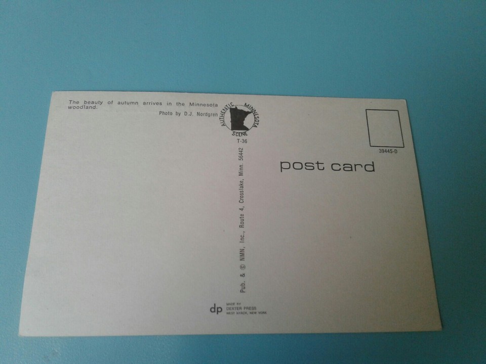 MINNESOTA: HELLO FROM HACKENSACK - THE BEAUTY OF AUTUMN - VINTAGE CARD ...