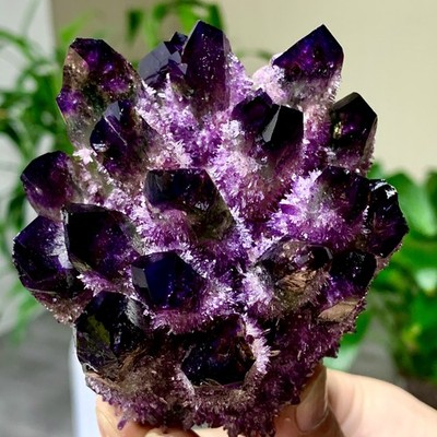 364G Newly discovered purple phantom crystal quartz cluster mineral ...