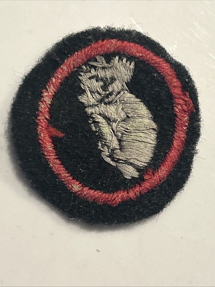 Vintage Boy Scouts of America (BSA) patrol patch featuring a koala bear ...