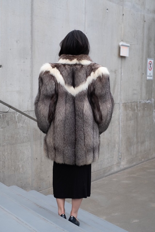 Indigo Fox Fur with Polar Fox Coat | Beautiful Cropped Fox Coat ...
