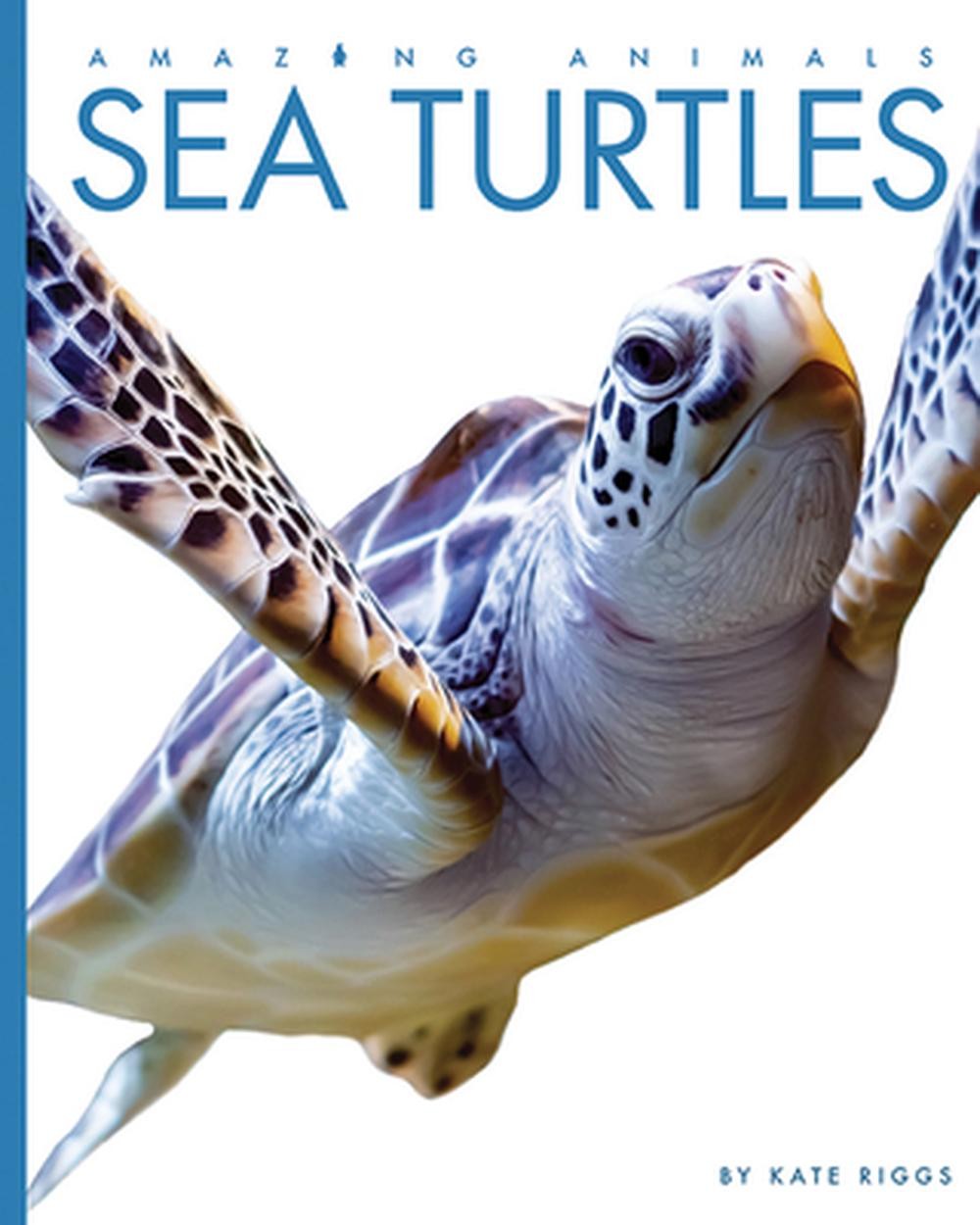 Sea Turtles by Kate Riggs (English) Hardcover Book 9781640265165| eBay