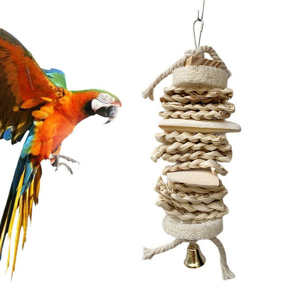 10-20X Large 10CM 3.94" Cuttlebone For Bird Parrots Cuddle Bone W/Box ...