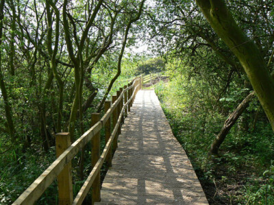 Photo 6x4 Boardwalk at Holme Pit Beeston/SK5236 A recent construction ...