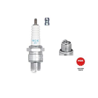 NGK 3722 Zündkerze | eBay.de