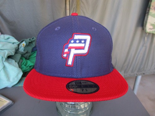POTOMAC NATIONALS, Washington Minor League Baseball Team Hat, size 7 ½ ...