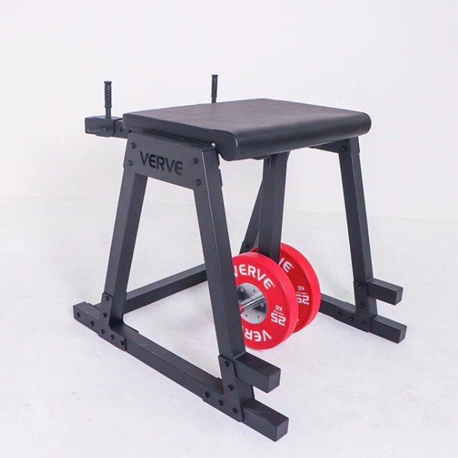 Verve Reverse Hyperextension Machine Heavy Duty Commercial Grade Gym | eBay