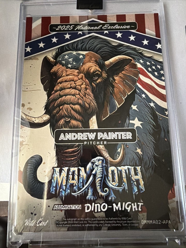 2025 Wild Card Jumbo National Exclusive Mammoth Baseball ANDREW PAINTER ...
