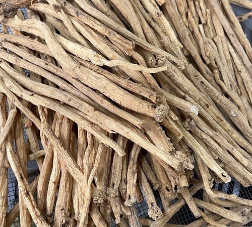 Codonopsis Pilosula Codonopsis Root Nourishing Chinese herb 400g | eBay