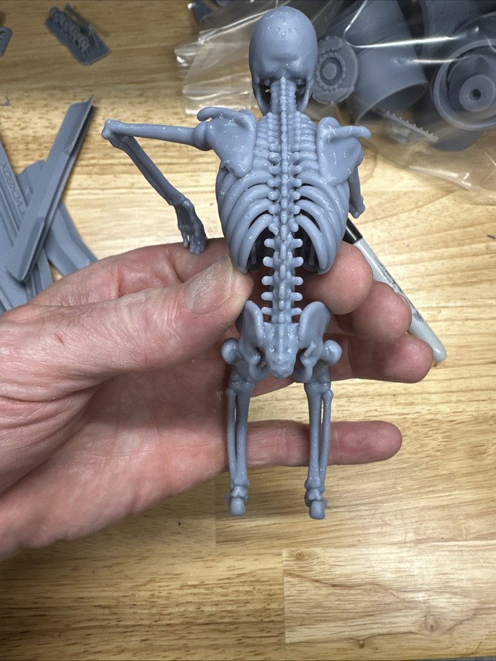 1/12 scale 3-D printed skeleton driver | eBay