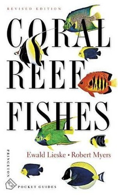 Robert Myers Ewald Lieske Coral Reef Fishes (Paperback) (UK IMPORT ...
