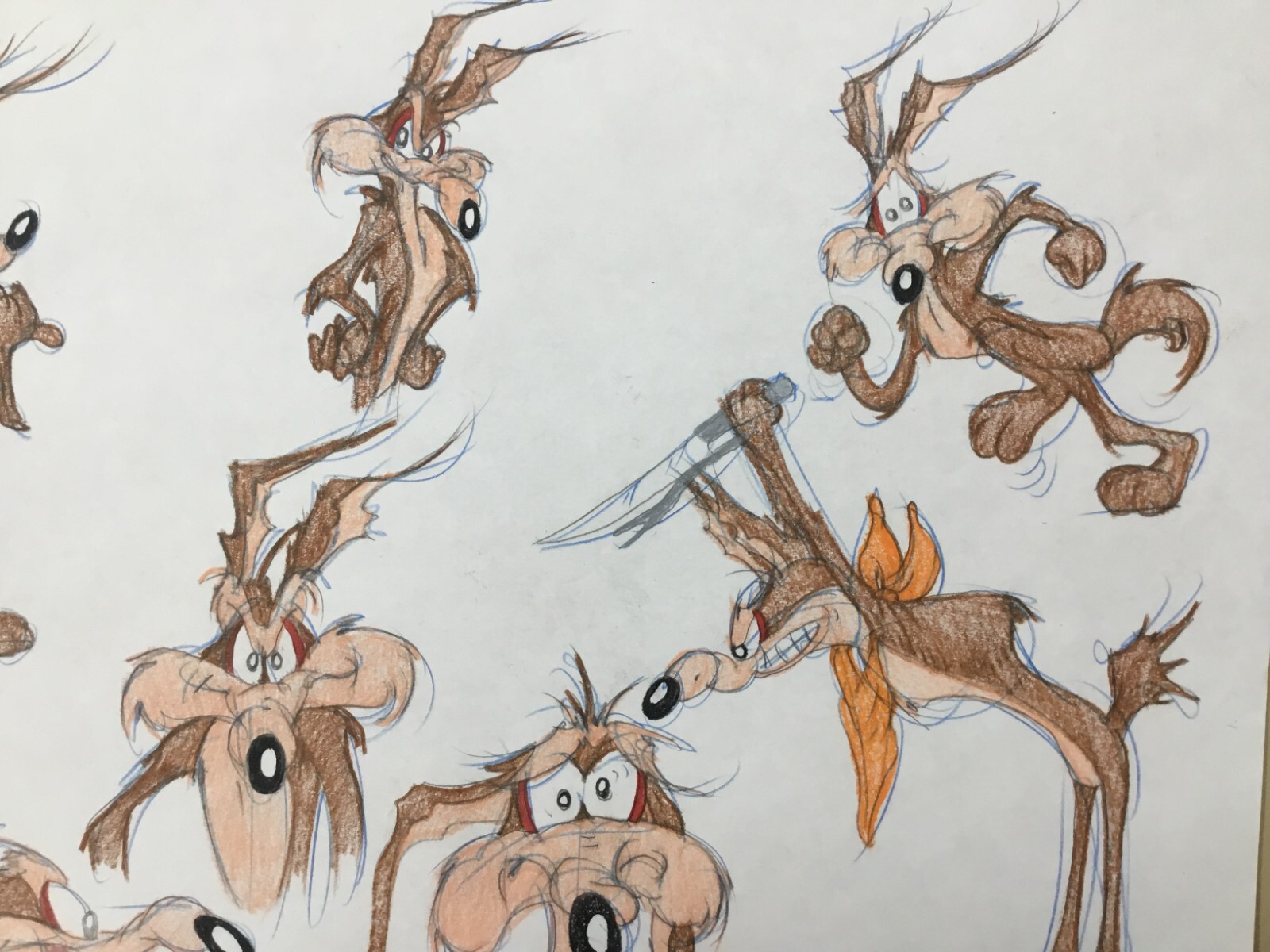 Virgil Ross Original Signed Model Sheet Drawing Wile E Coyote Custom ...