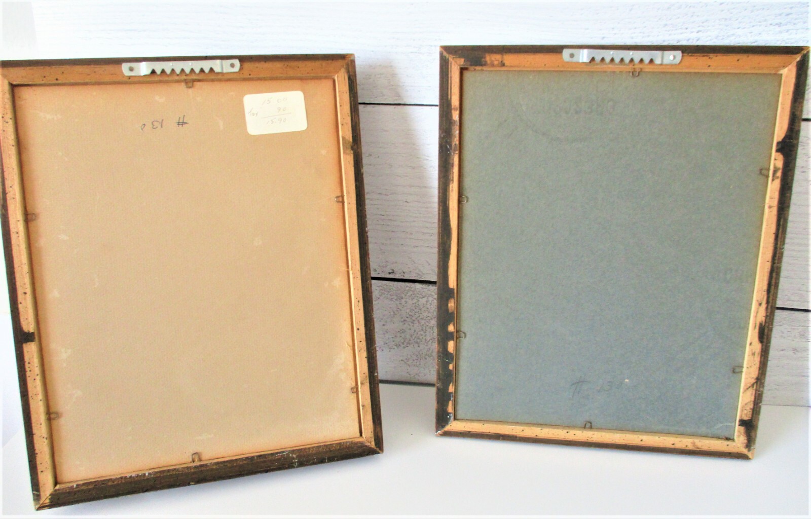2 Vintage Ornithology 1958 John Murr & PH Gommer Framed Bird Prints ...