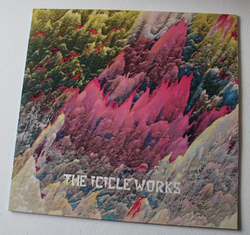The Icicle Works, birds fly (whisper to a scream) , Maxi Vinyl | eBay