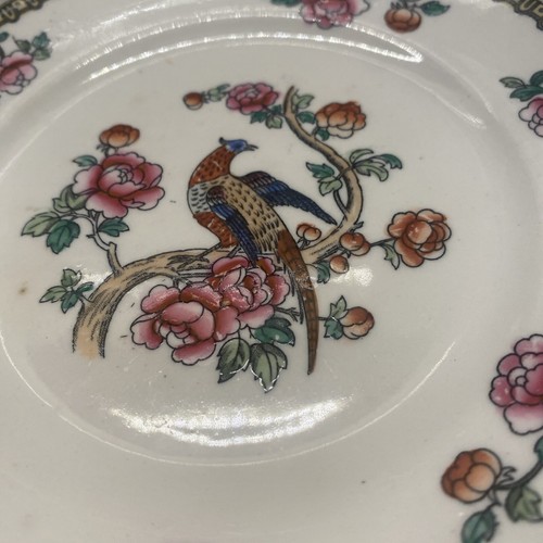 F. Winkle Co. Whieldon Ware Pheasant Pattern Salad Dessert Appetizer 5/ ...