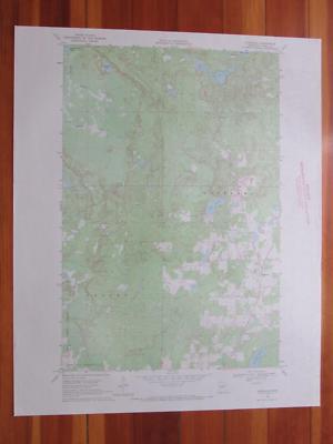 Goodland Minnesota 1972 Original Vintage USGS Topo Map | eBay