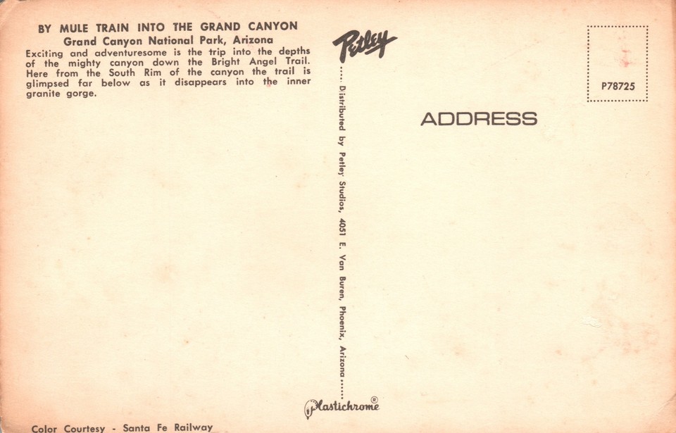 Mule Train Into The Mighty Grand Canyon National Park Arizona AZ ...