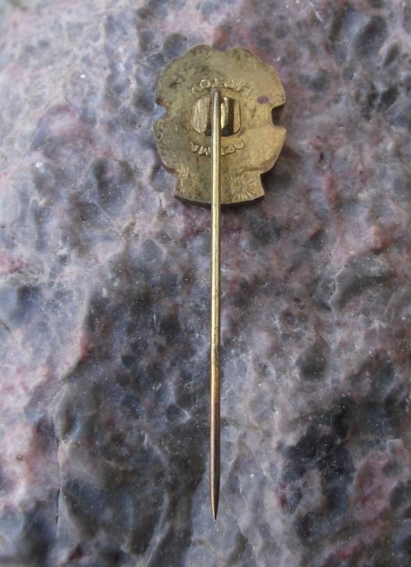 Antique Hlucin Moravia Czechoslovakia Heraldic Crest Coat of Arms Pin ...