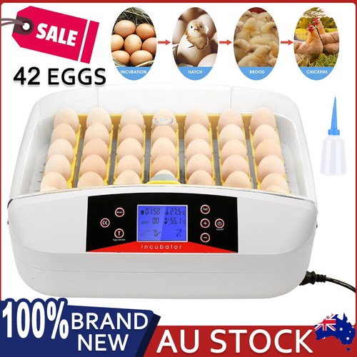 Automatic 42 Egg Incubator Auto Turning Chicken Poultry Pigeon Quail ...