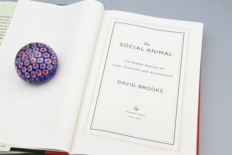 The Social Animal, Hardcover Book By David Brooks, New York Times Best ...