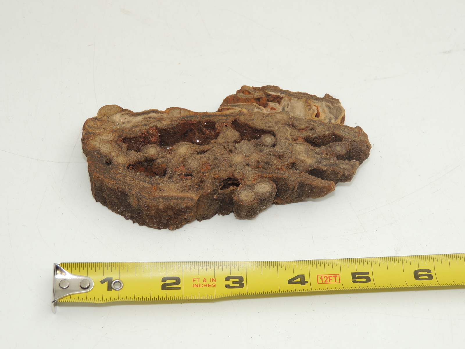 Rock Mineral Sample Crystalline Concretion Unknown Sample Petrified ...