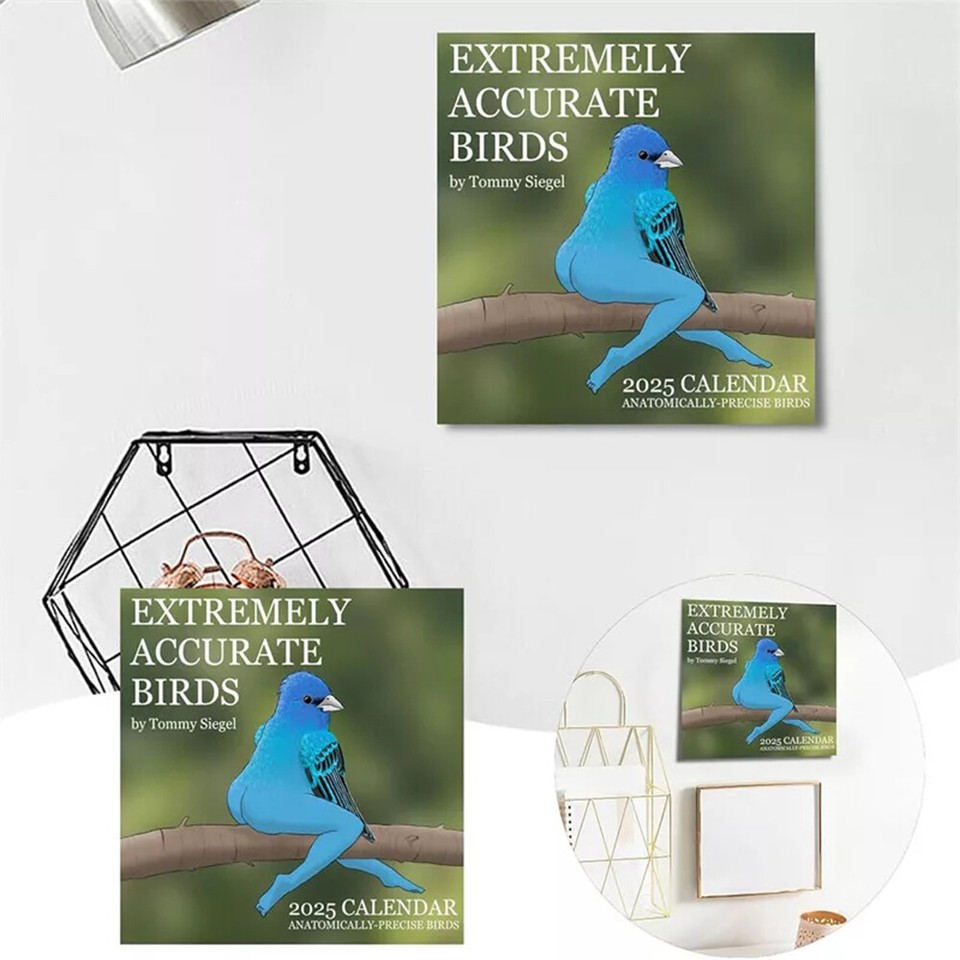 Funny 2025 Calendar of Extremely Accurate Birds by Tommy Siegel Bird ...