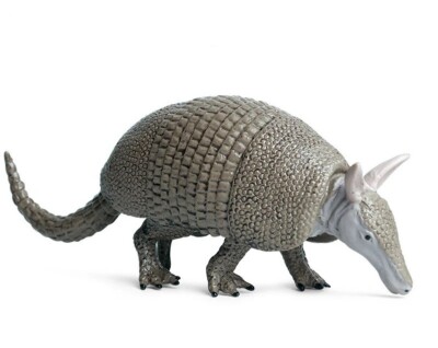 Armadillo Animal Toy PVC Action Figure Doll Kids Toys Party Gifts | eBay