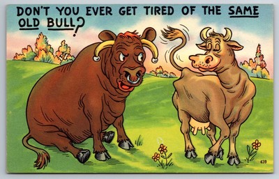 Bull, Cow, Get Tired of the Same Old Bull, Humor, Vintage Postcard | eBay