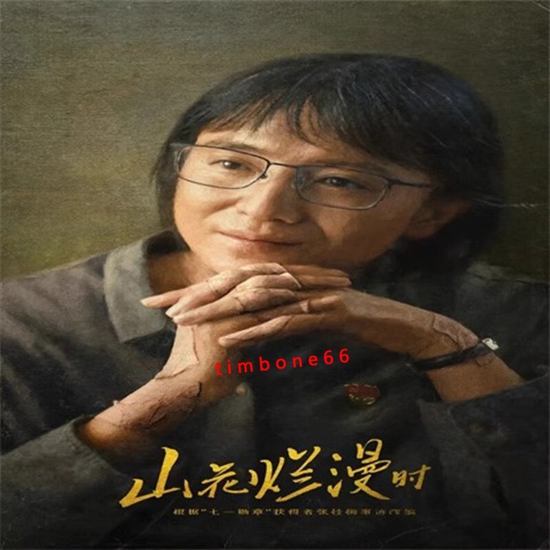 2024 Chinese SHAN HUA LAN MAN SHI DVD-9 山花烂漫时 Chinese Sub BOXed 剧情 | eBay