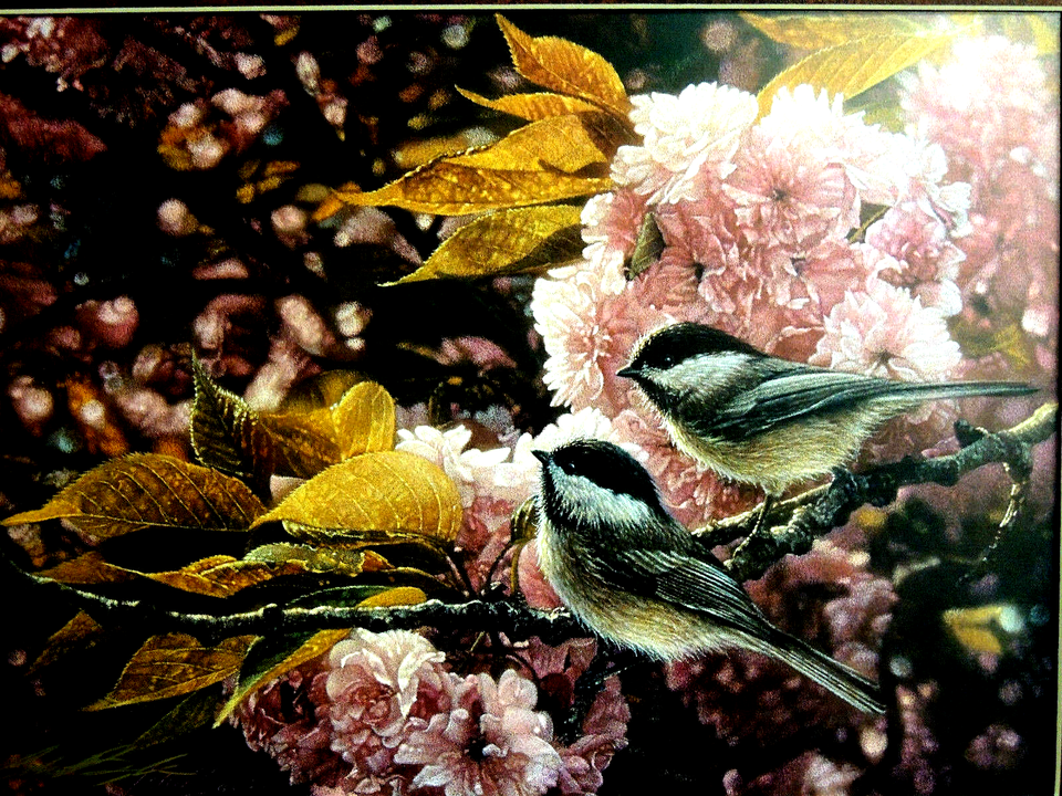 CHICKADEE BIRDS PICTURE PRETTY IN PINK COLLIN BOGLE MATTED FRAMED 14X18 ...