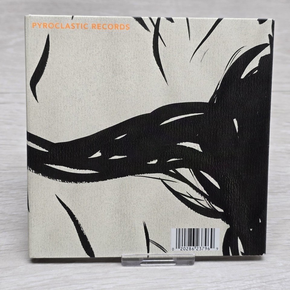 Ches Smith - Interpret It Well CD US Exclusive Jazz 2022 Pyroclastic ...