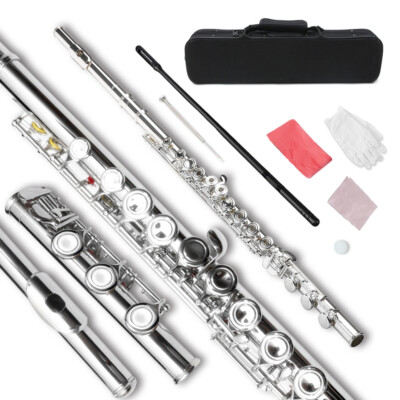 New 17 key Flute Closed Hole Flutes Nickel Silver Keys Advance with ...