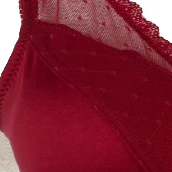 Rhonda Shear Mesh Dot Pin-Up Bra 3 Pack w/Removable Pads 514-144 , Size ...