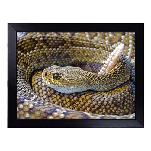 Rattle Snake Lap Tray Cushioned Bean Bag Padded TV Dinner Food ...
