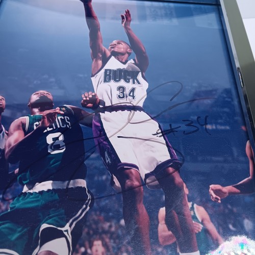RAY ALLEN AUTOGRAPH SIGNED 8X10 PHOTO Framed MILWAUKEE BUCKS NBA | eBay