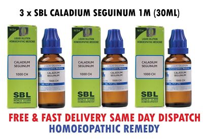 3 X SBL Homeopathic Caladium Seguinum 1M (1000 CH) (30ml Each) | eBay ...