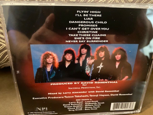 Red Dawn - Never Say Surrender (cd 1993 NPI) Melodic Aor Hard Rock RARE ...