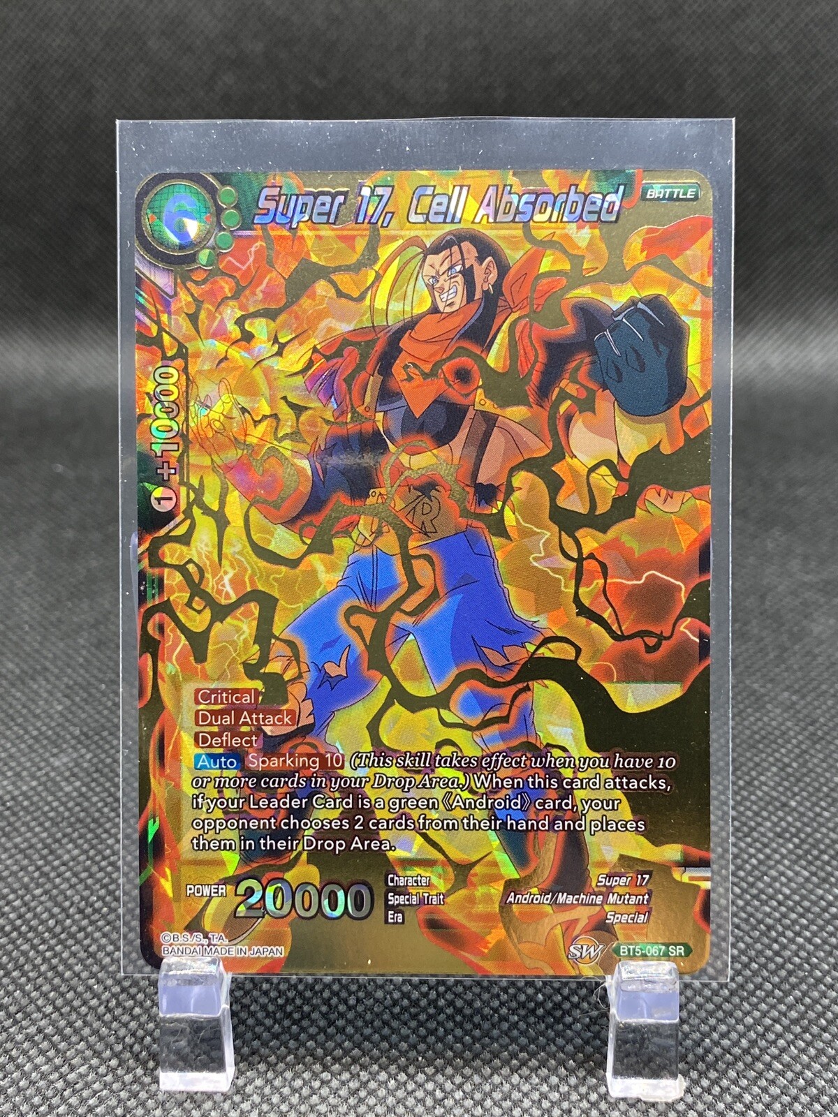 Super 17 Cell Absorbed