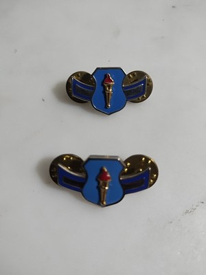 2 PINS EPG US NAVY BLUE DUAL PIN BACK GOLDEN TORCH RED FLAME 2 PINS | eBay