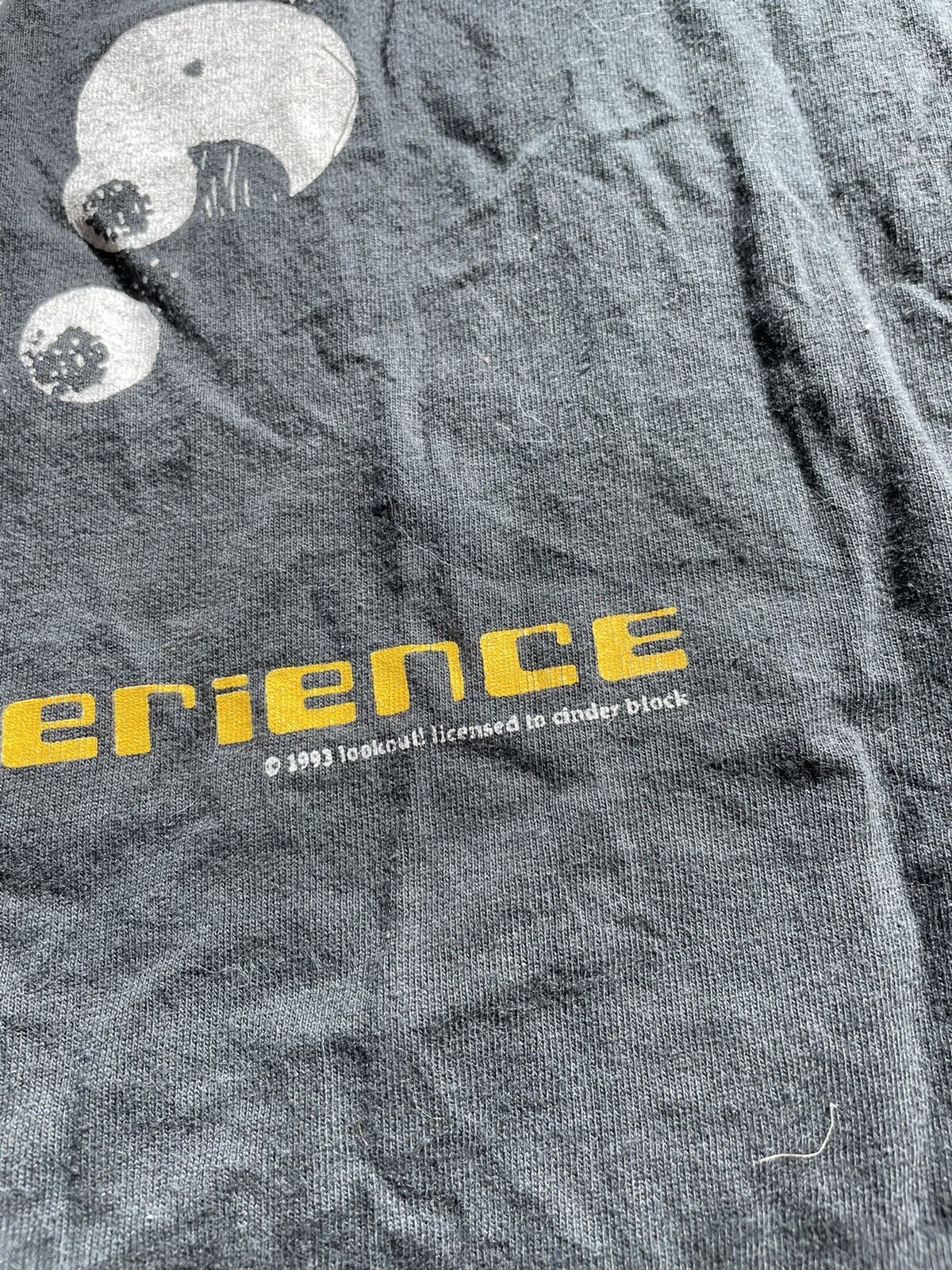 Vintage 1993 MTX Starship The MRT Experience Lookout … - Gem