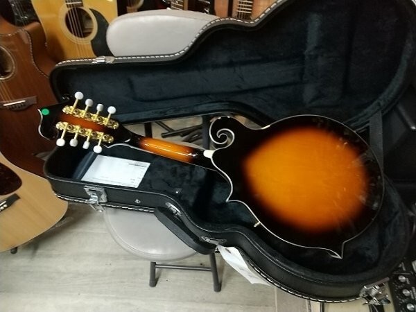 Aria AM-40 Mandolin Japan F Style Flat Mandolin New w/case | eBay