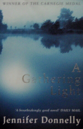A Gathering Light by Jennifer Donnelly - Medium Paperback 9780747570639 ...
